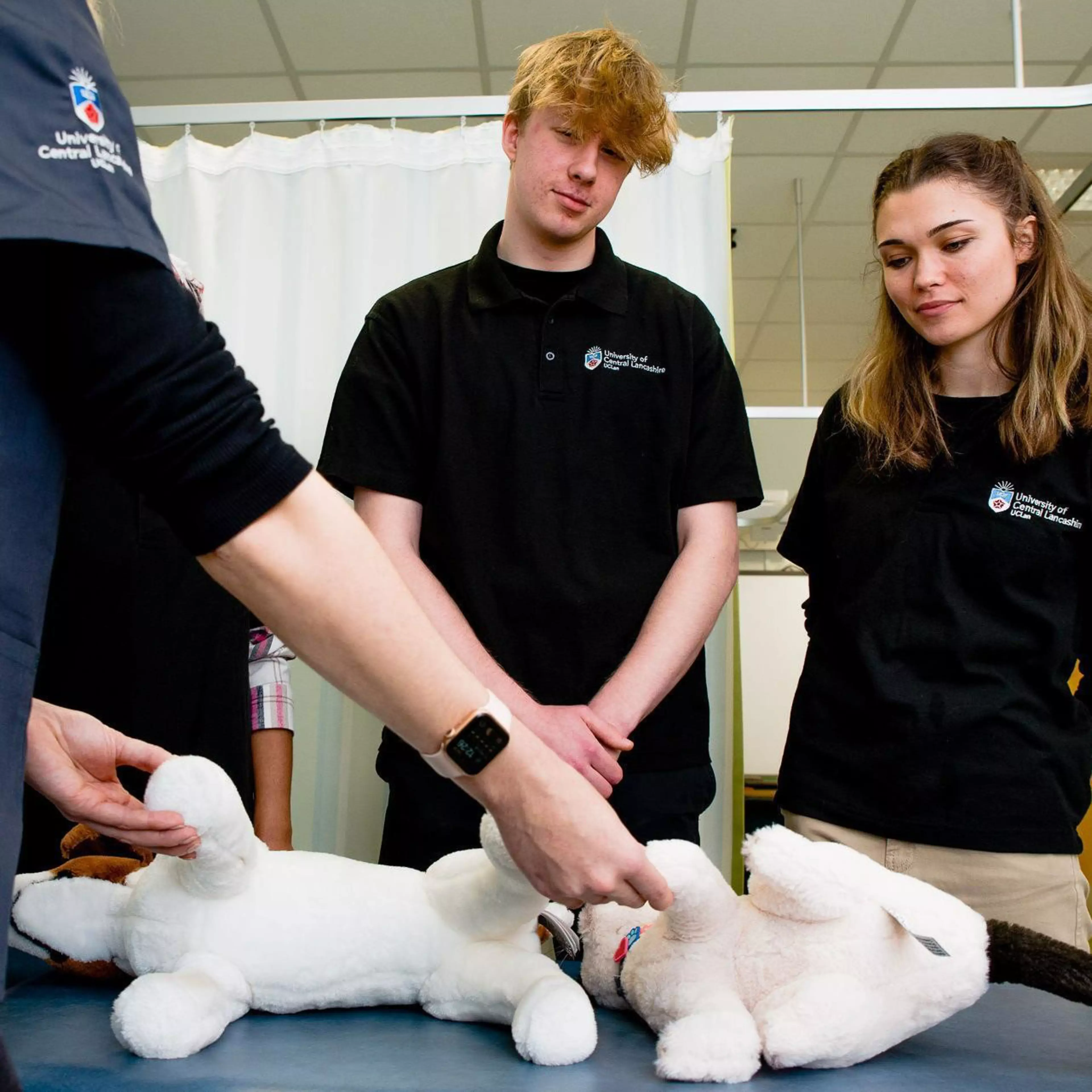 Veterinary Physiotherapy & Clinical Rehabilitation