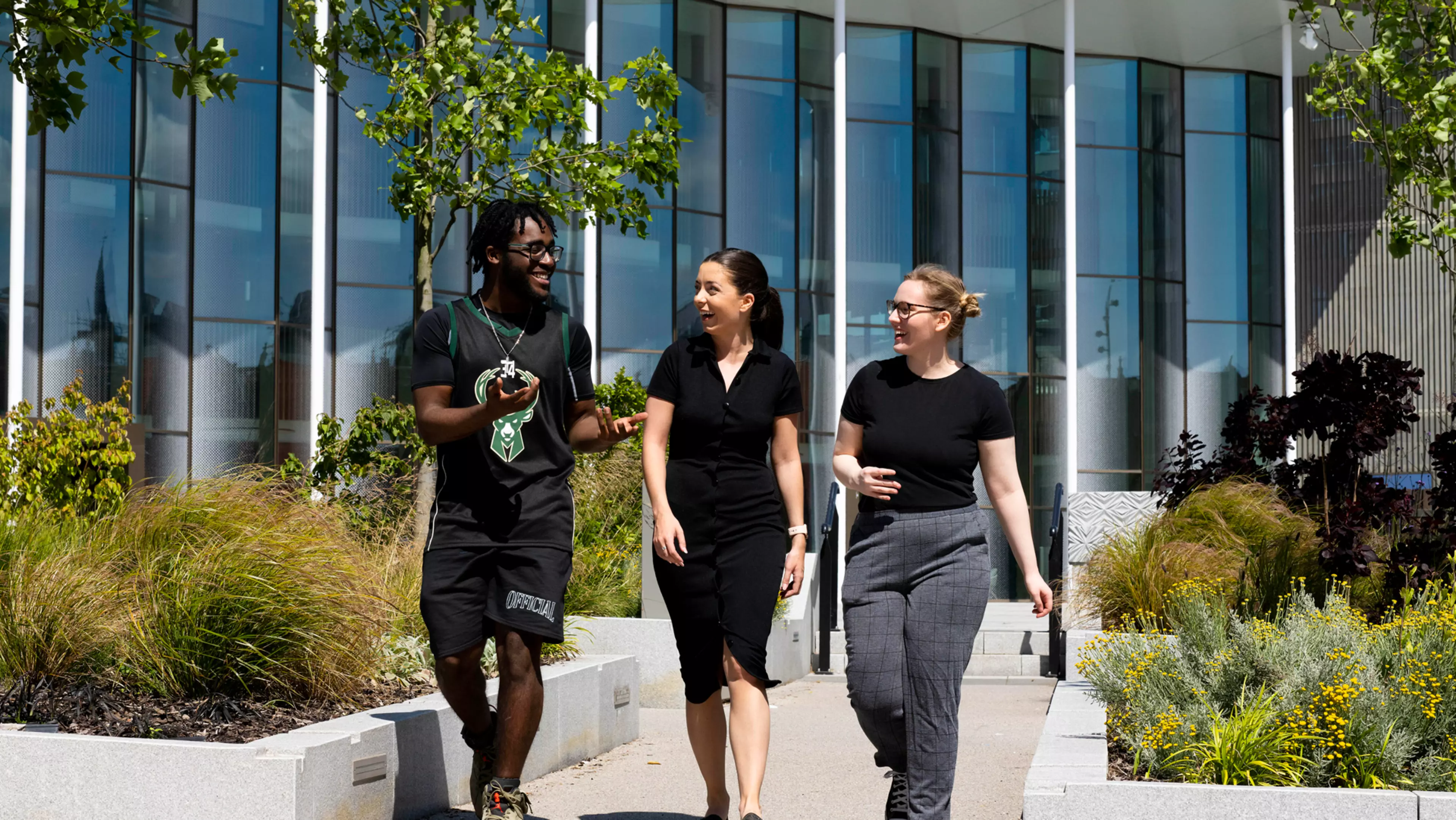 Understanding university entry requirements