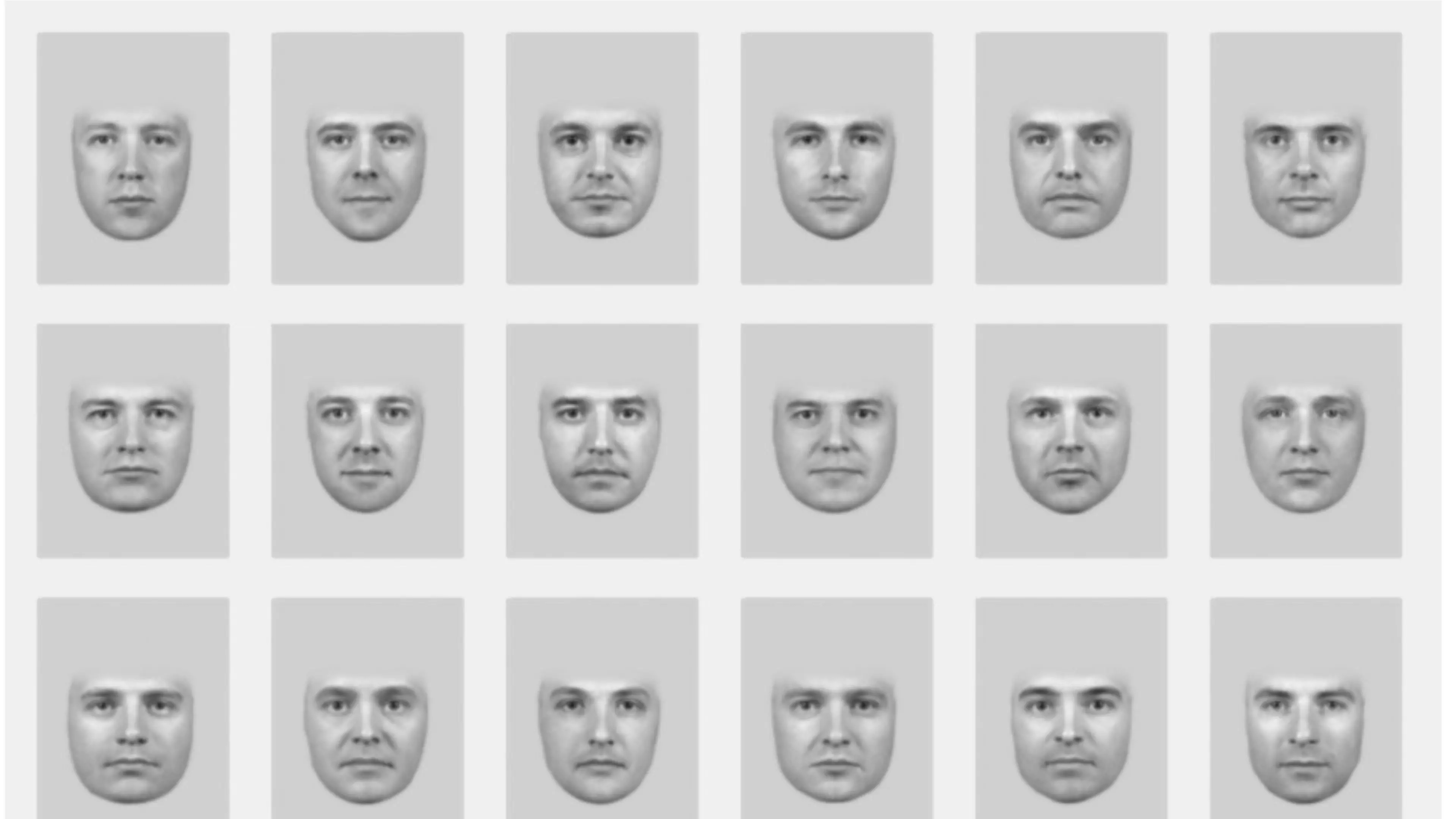 EvoFIT facial composites help identify offenders