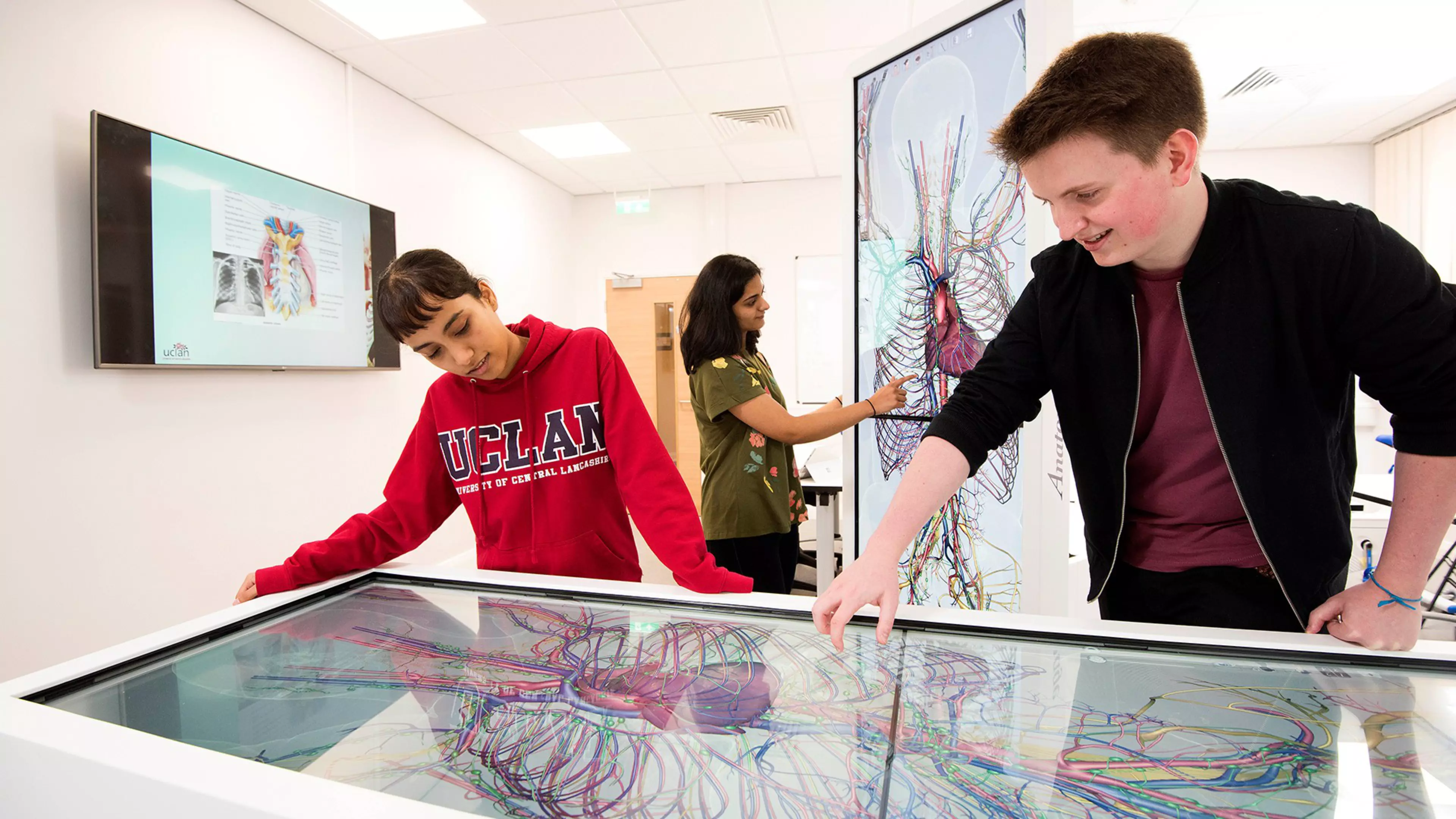 BSc Medical Sciences Degree Course UK