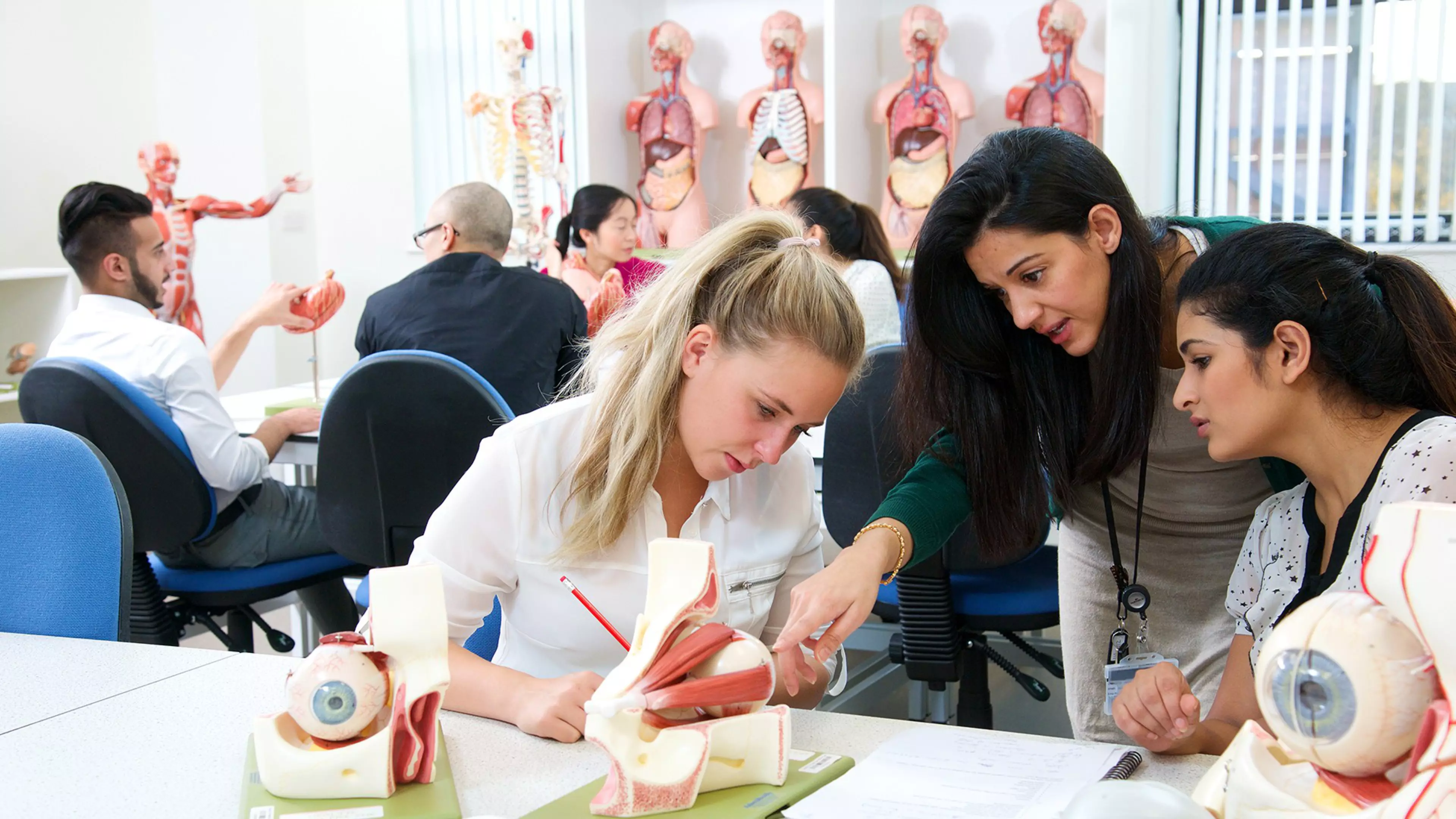 Becoming a Doctor in the UK | Step by Step Guide