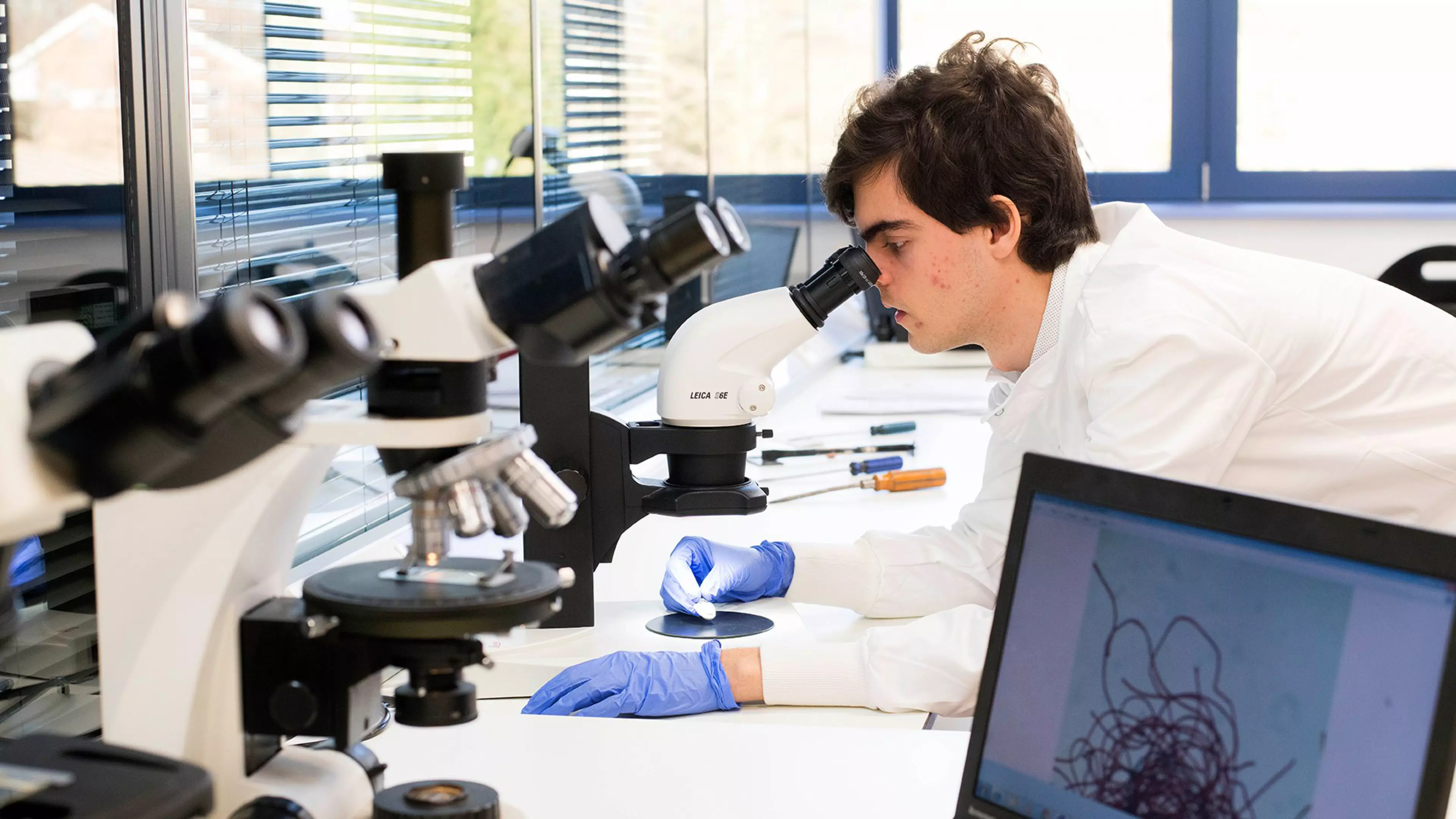 Becoming a Forensic Scientist | Step by Step Guide