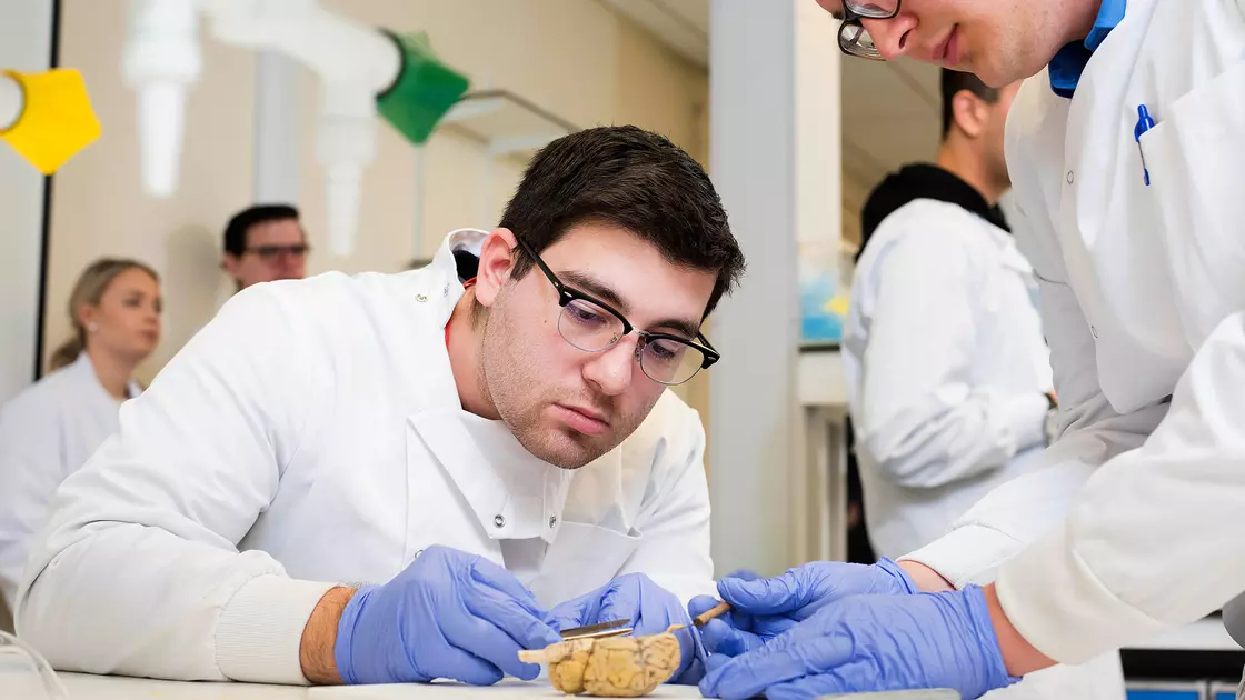 Neuroscience (with Foundation Year), BSc (Hons)
