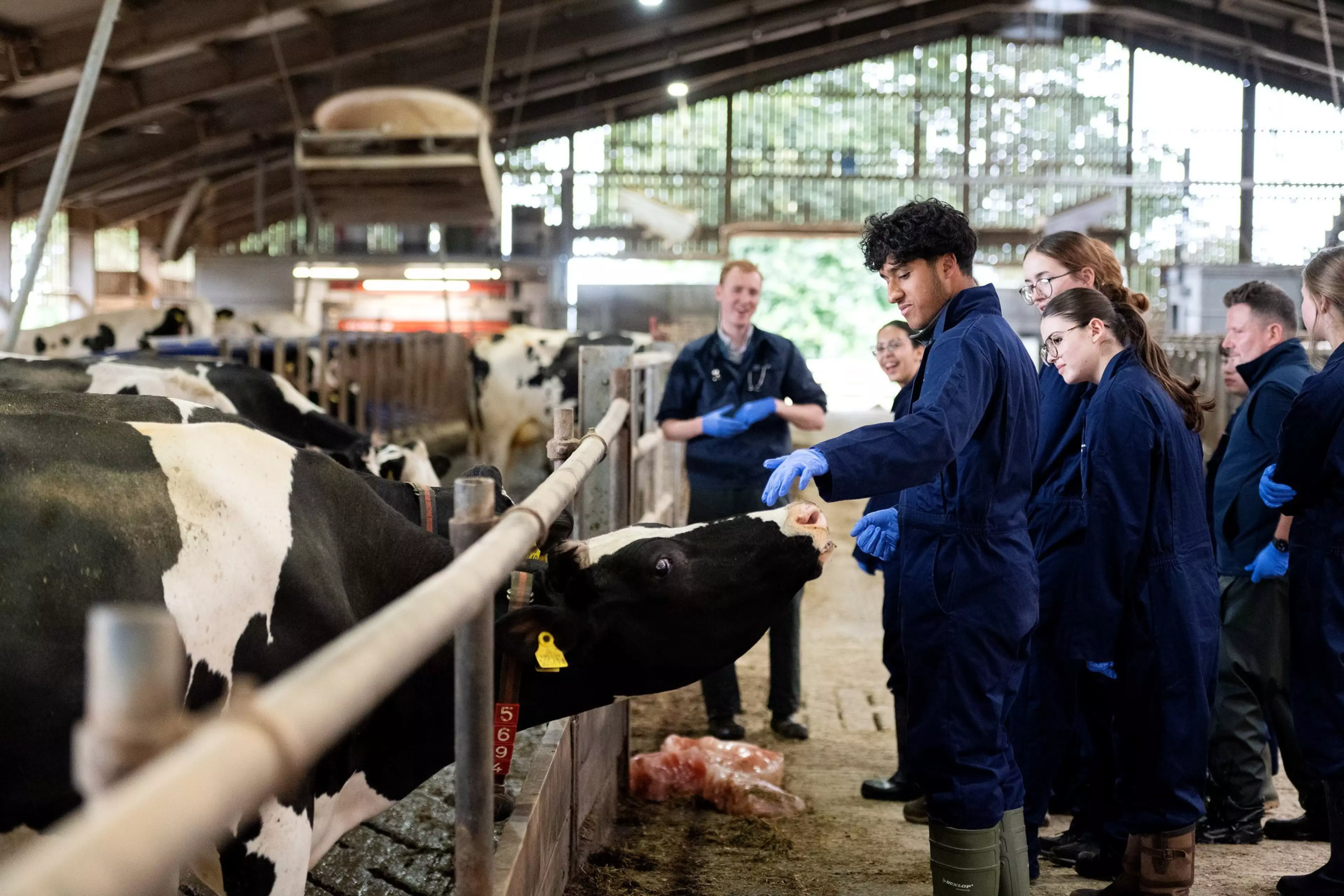 Teenagers get a taste of veterinary life at University’s first Vet ...