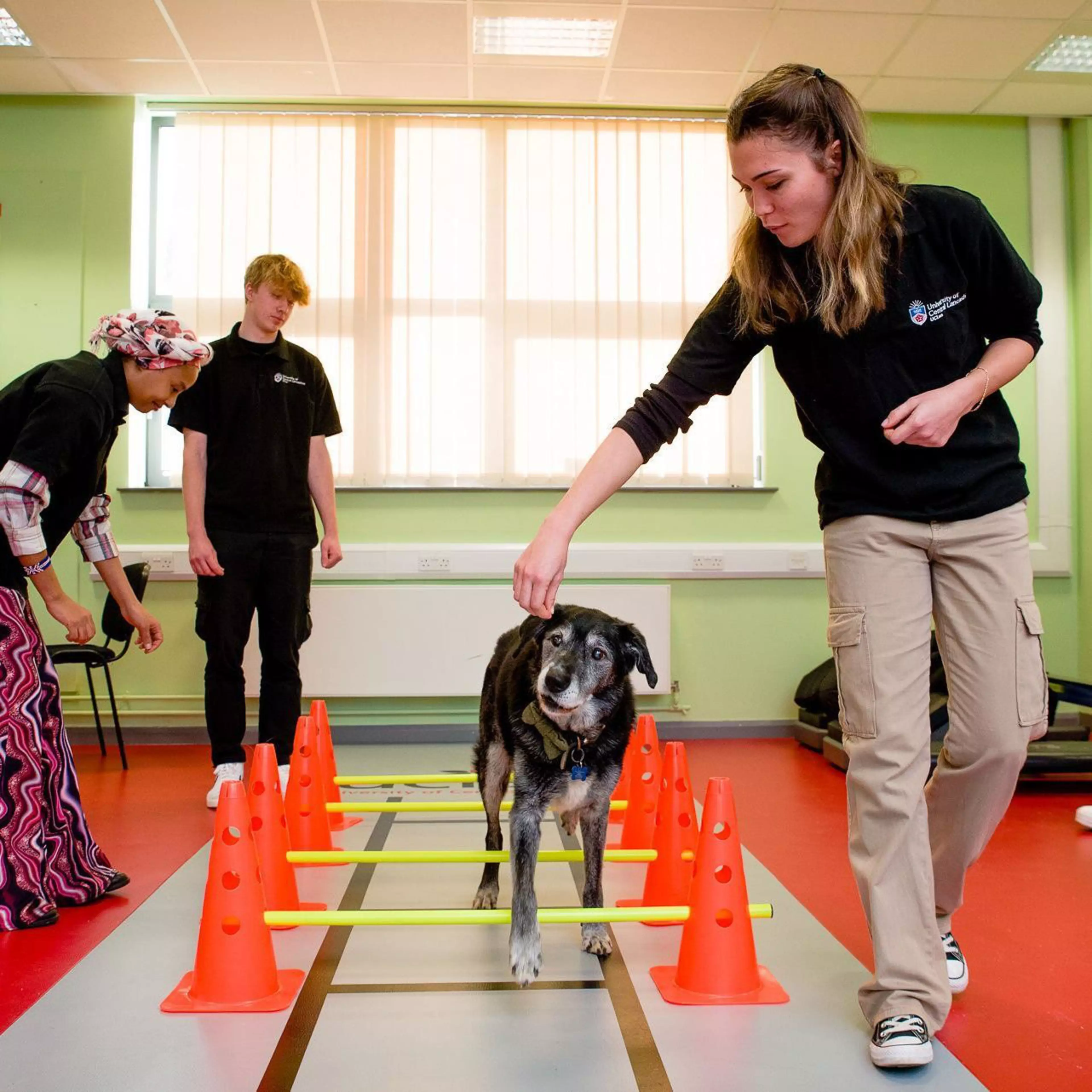 Veterinary Physiotherapy & Clinical Rehabilitation