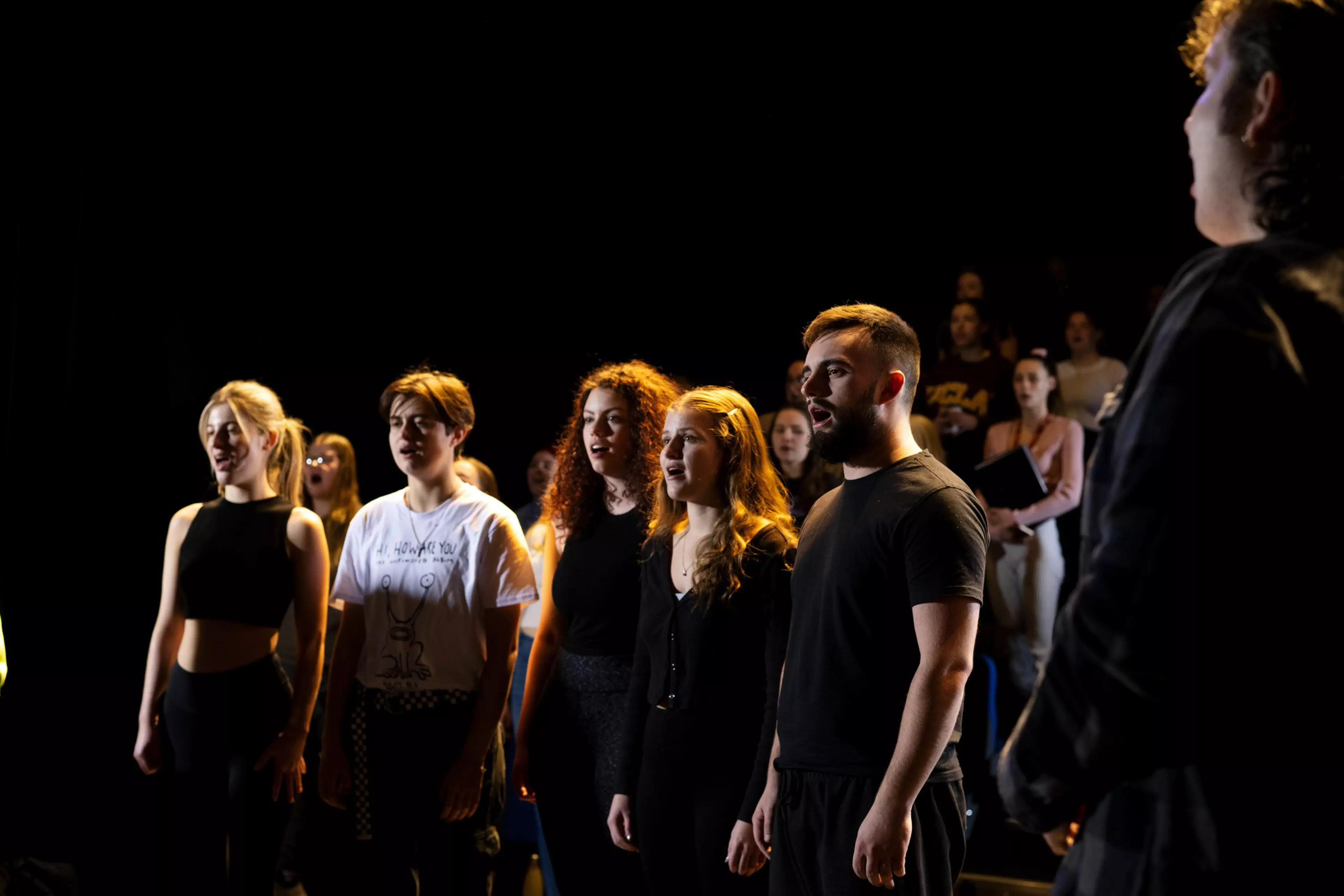 Musical Theatre, BA (Hons) Degree Course