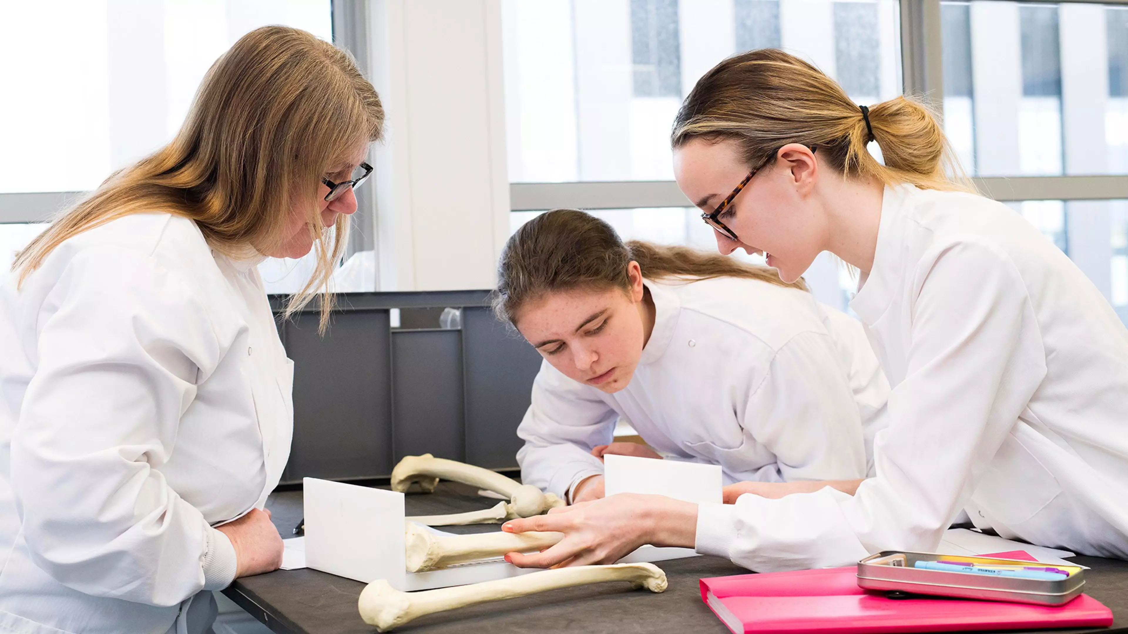 Forensic Anthropology, MSc/PGDip/PGCert