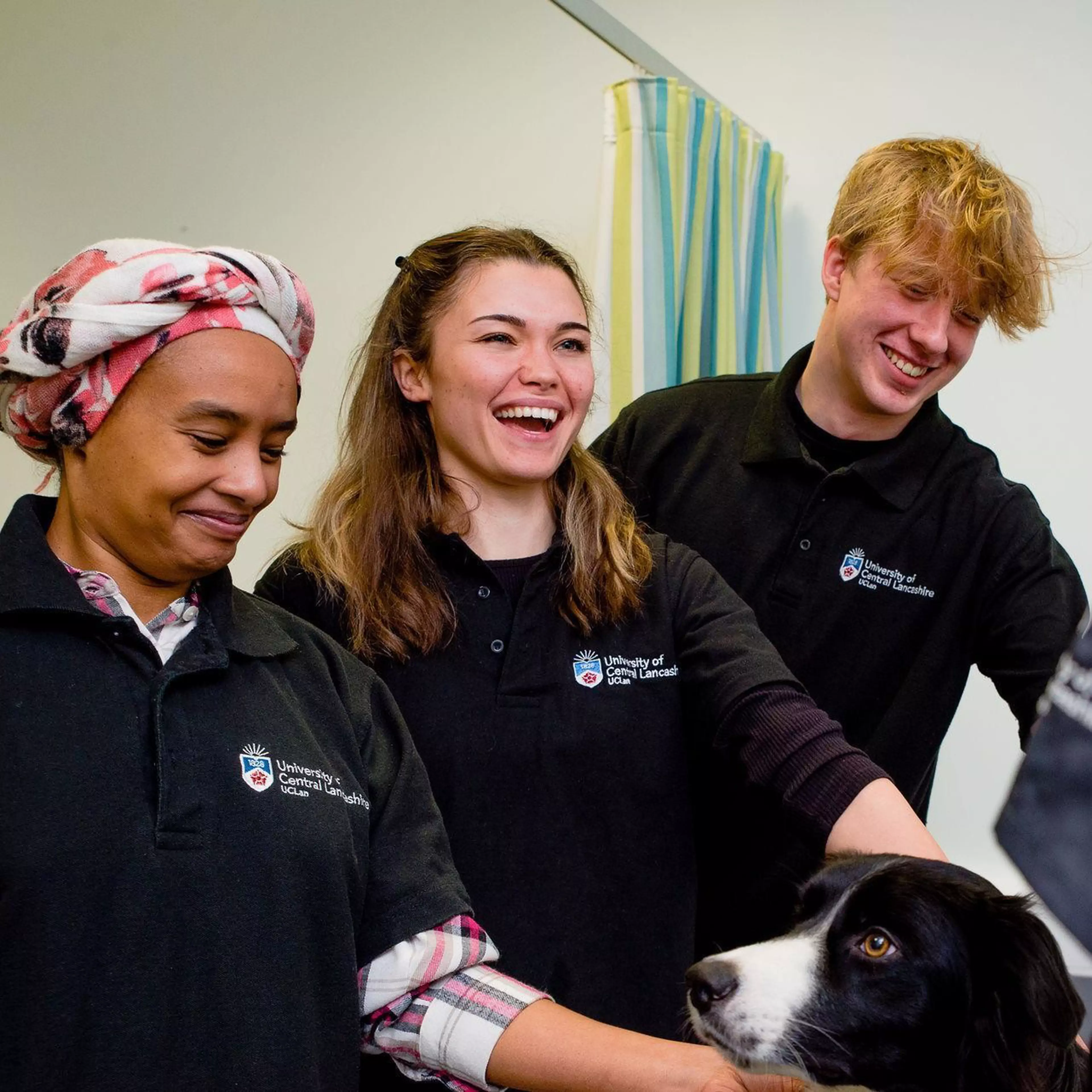Veterinary Physiotherapy & Clinical Rehabilitation