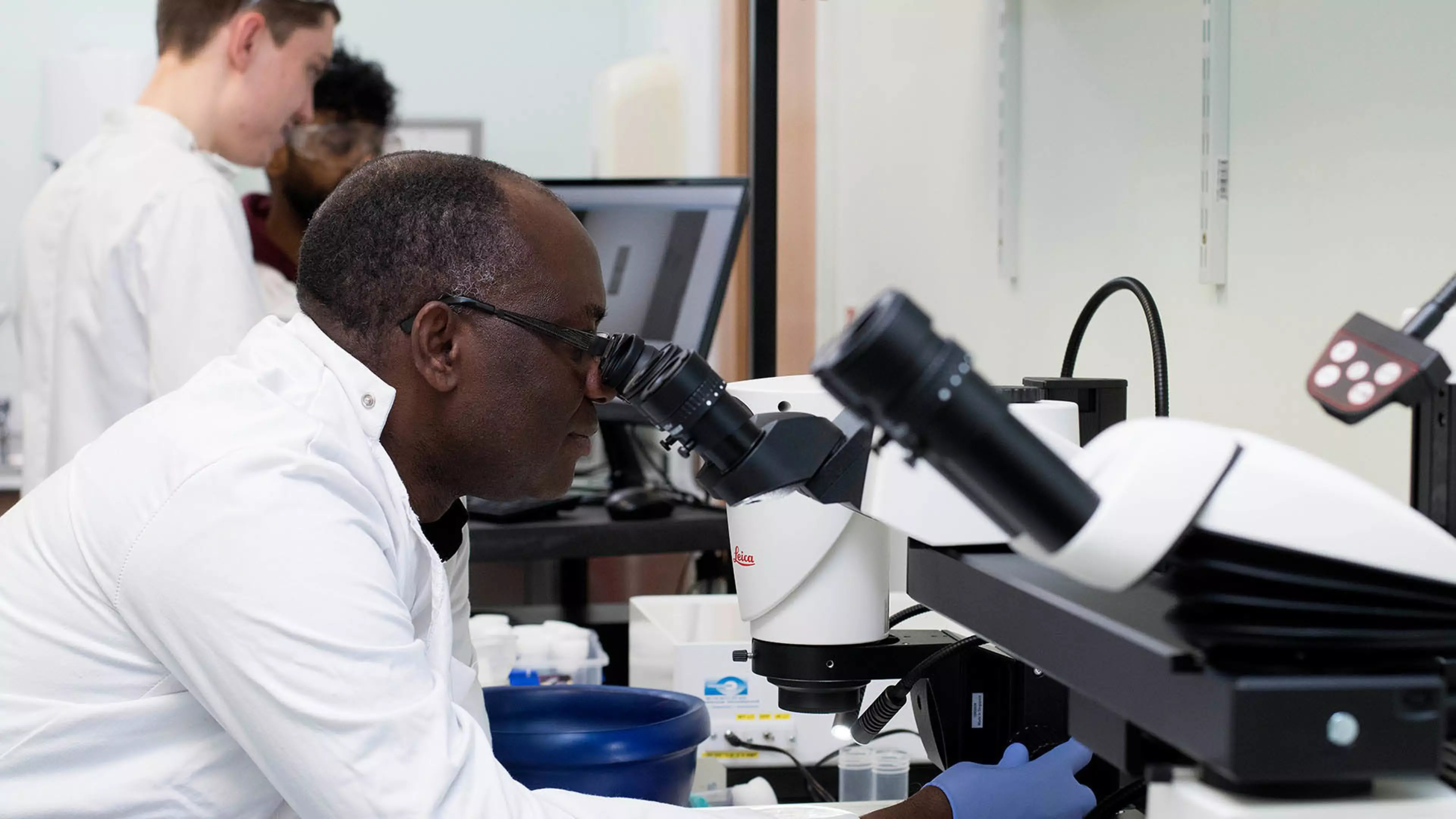Neuropsychology, BSc (Hons) Degree Course