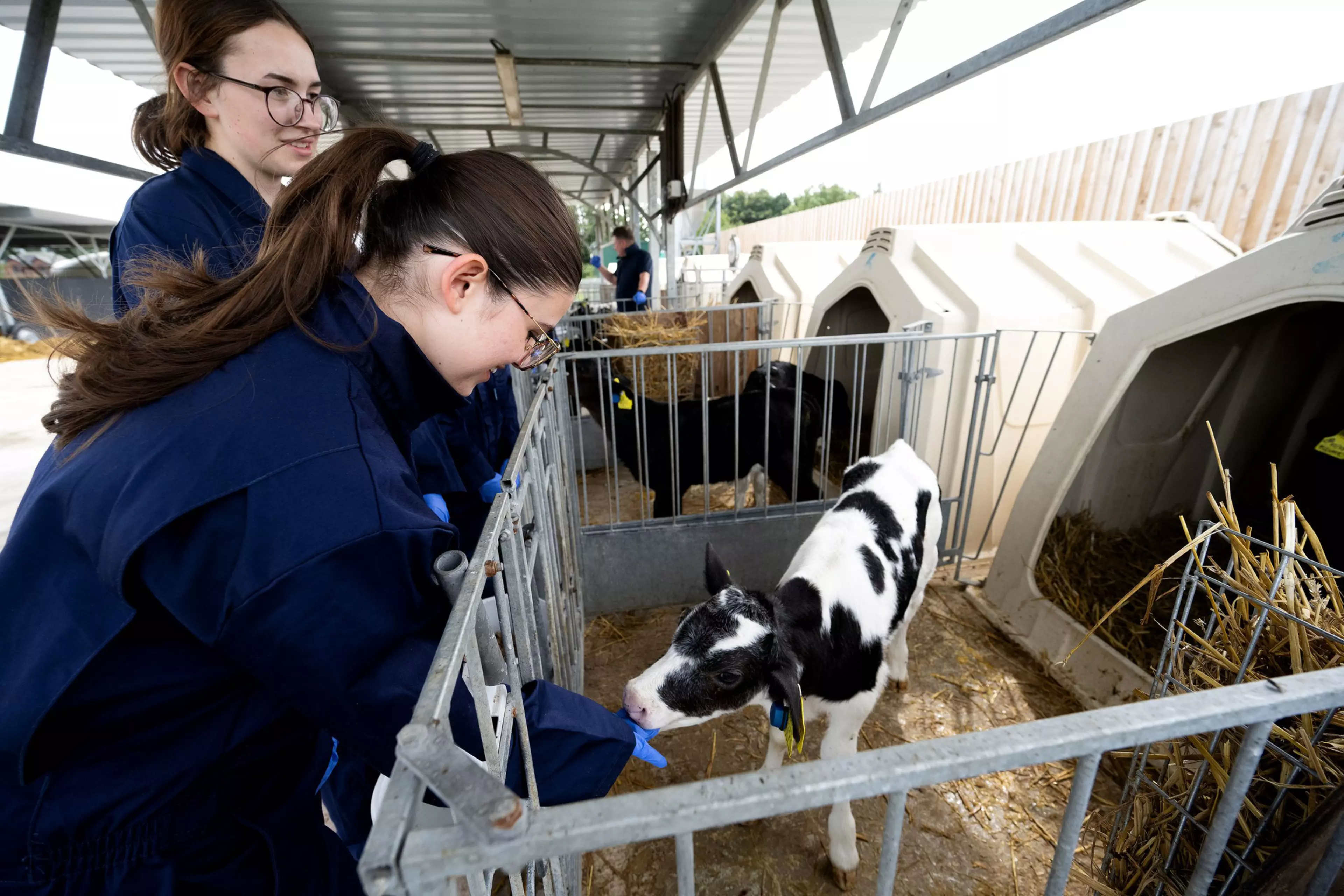 Teenagers get a taste of veterinary life at University’s first Vet ...